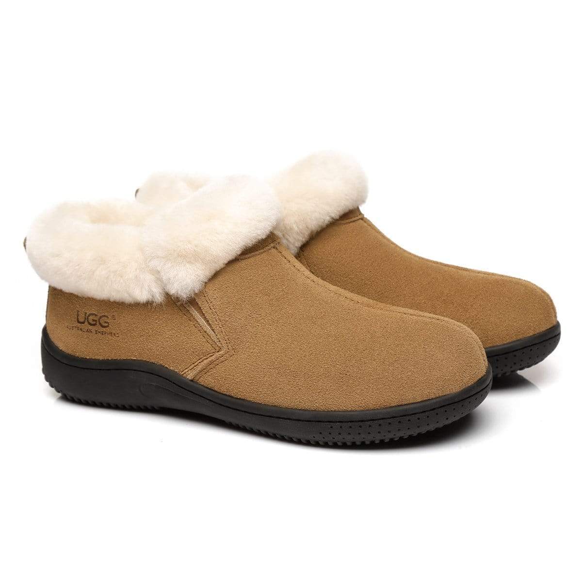 Daily UGG Slippers - Ultimate Comfort for Cold Days | UGG Online